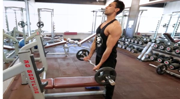 Muscle roles During Exercise - Parambodyfitmind