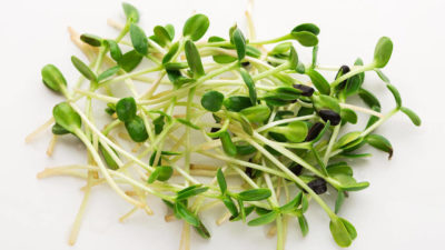 What are Sprouts | Types of Sprouts | Parambodyfitmind