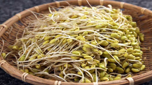 What are Sprouts | Types of Sprouts | Parambodyfitmind